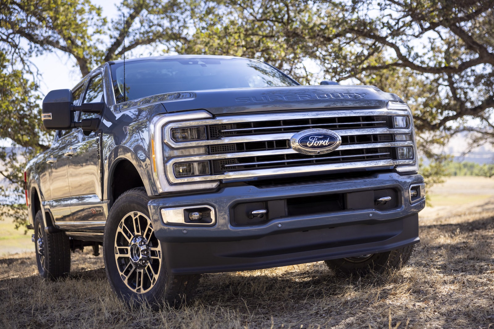 Ford King Ranch Trucks For Sale: A Comprehensive Buyer's Guide - Types ...